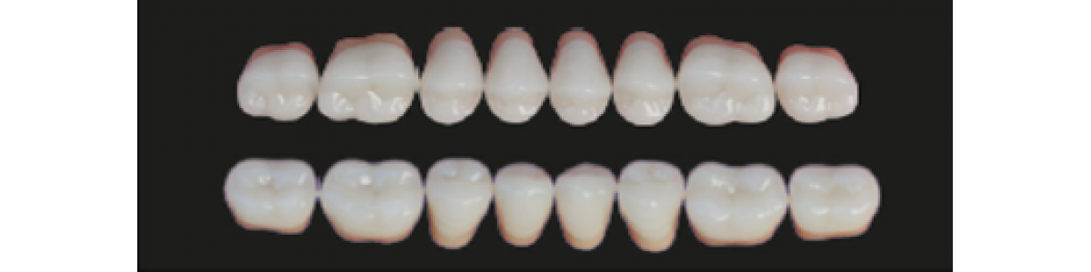Dinti compozit grup lateral - Dental Shop | Distrident Plus