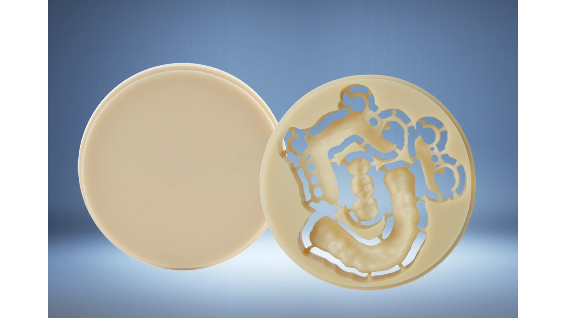 Disc G2 (bleach) DURACETAL 98x20 mm